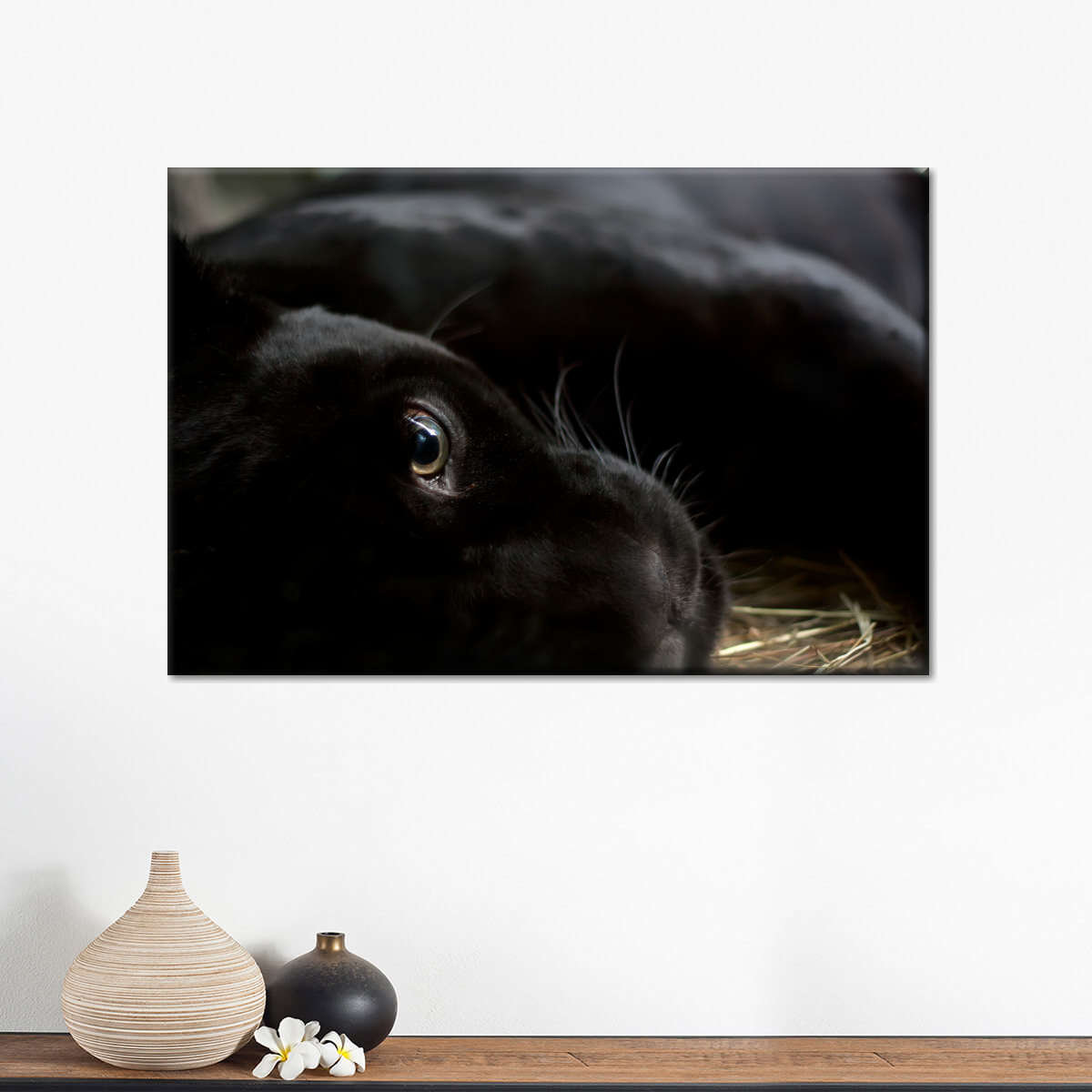 Ebern Designs Comfortable Black Panther Canvas Print | Wayfair