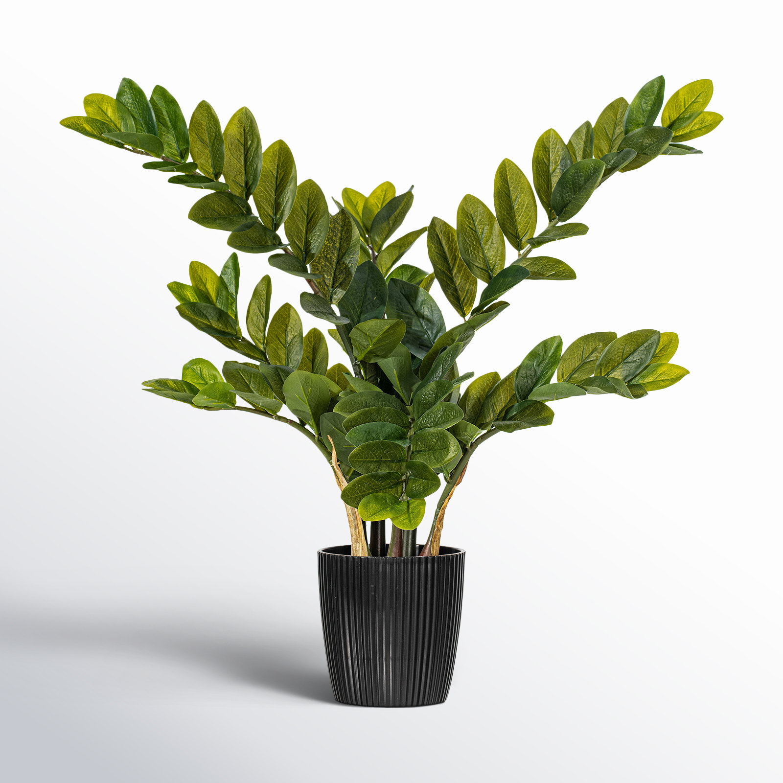 AllModern Zen Potted Green Zamifolia Artificial Bush & Reviews | Wayfair