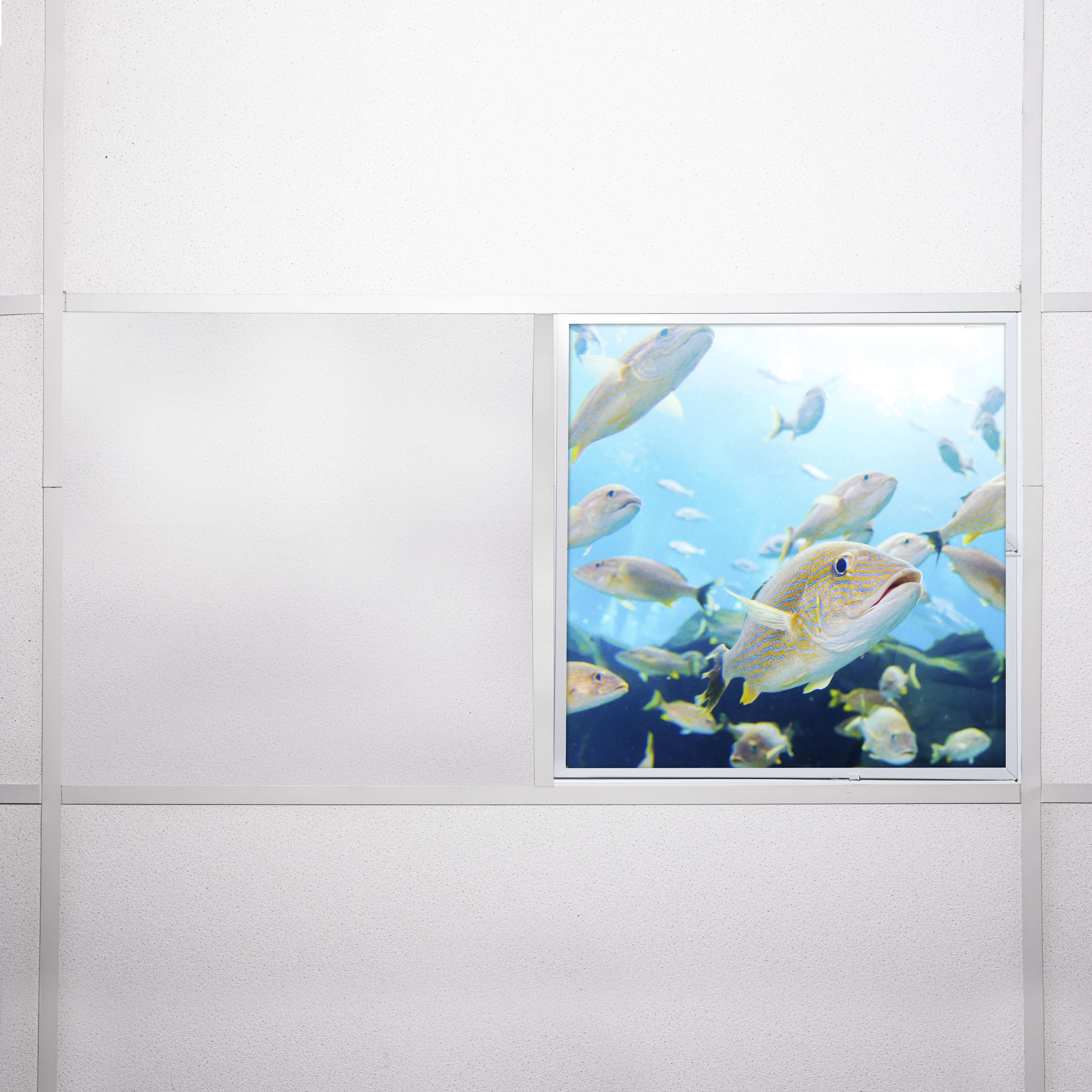 Octo Lights - Fluorescent Light Covers - Flexible Decorative Light ...