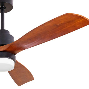 3 Blade Ceiling Fans With Lights You'll Love | Wayfair