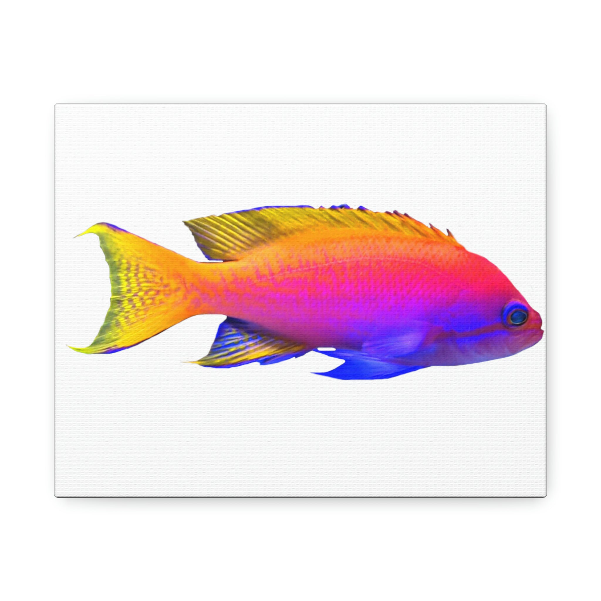 Dovecove Colorful Fish - Unframed Illustration on Canvas | Wayfair