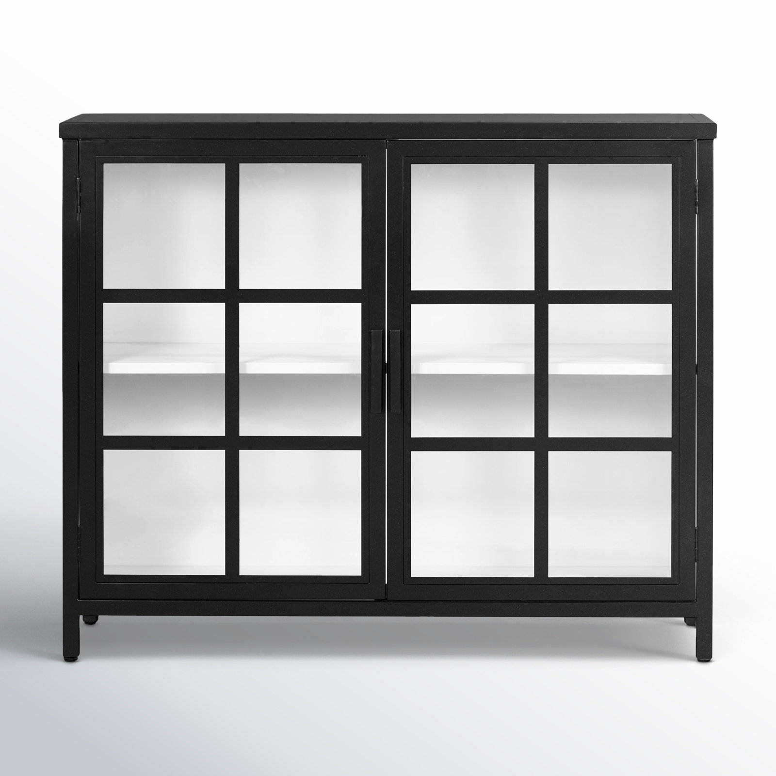 Birch Lane™ Losurdo Iron 2 - Door Accent Cabinet & Reviews | Wayfair