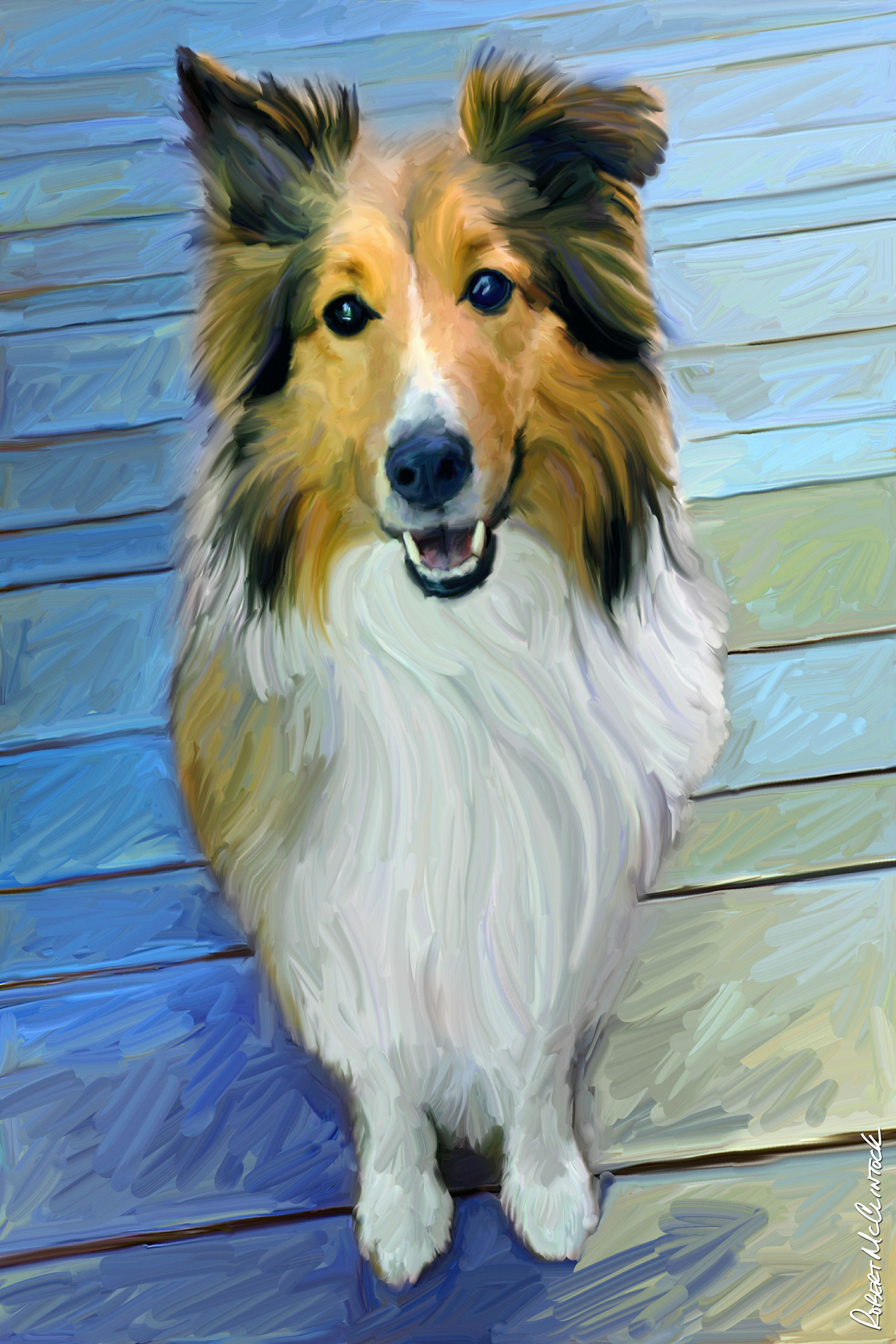 Red Barrel Studio Sheltie The Eyes Have It - Wayfair Canada