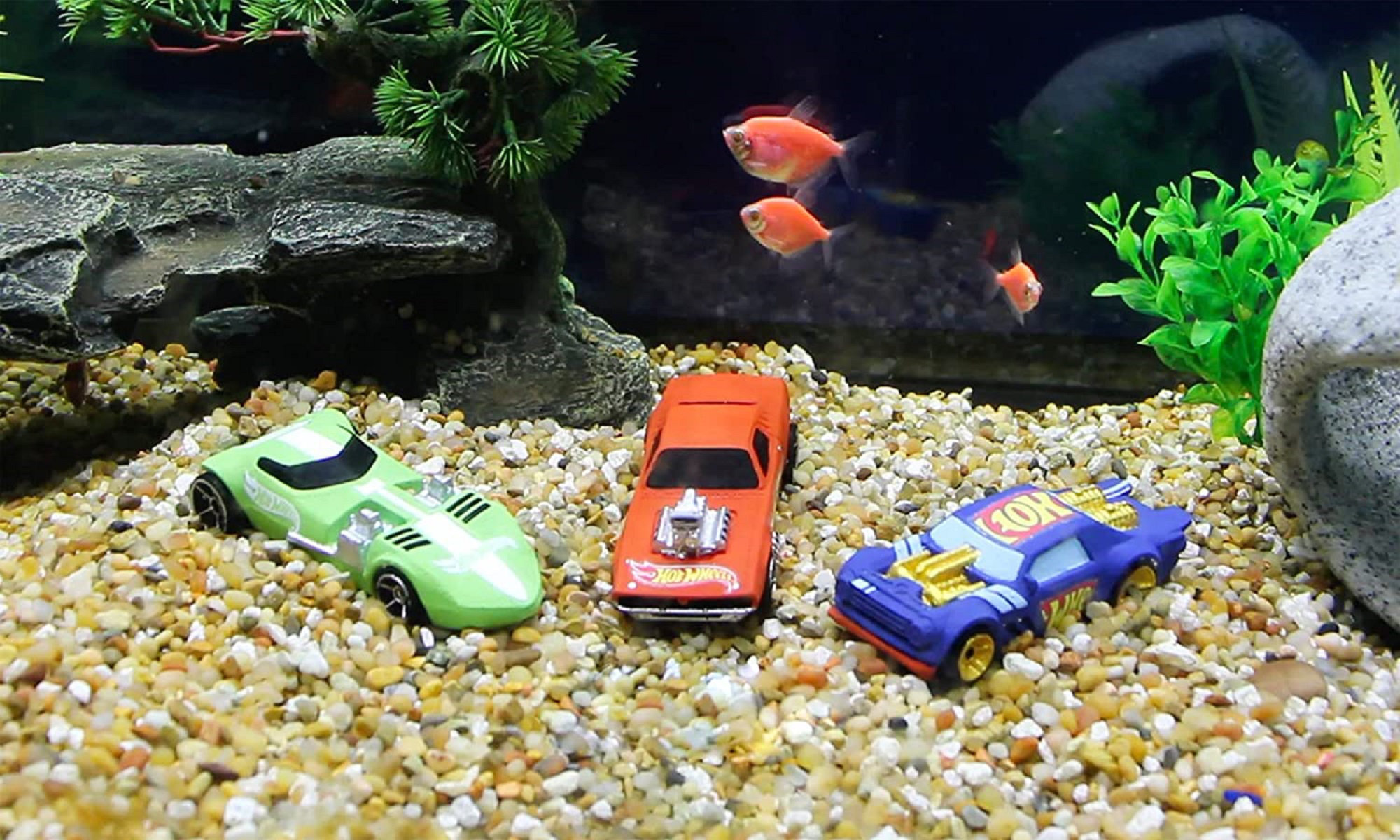 Penn Plax Hot Wheels Small 3-Piece Aquarium Decoration Bundle - Wayfair ...