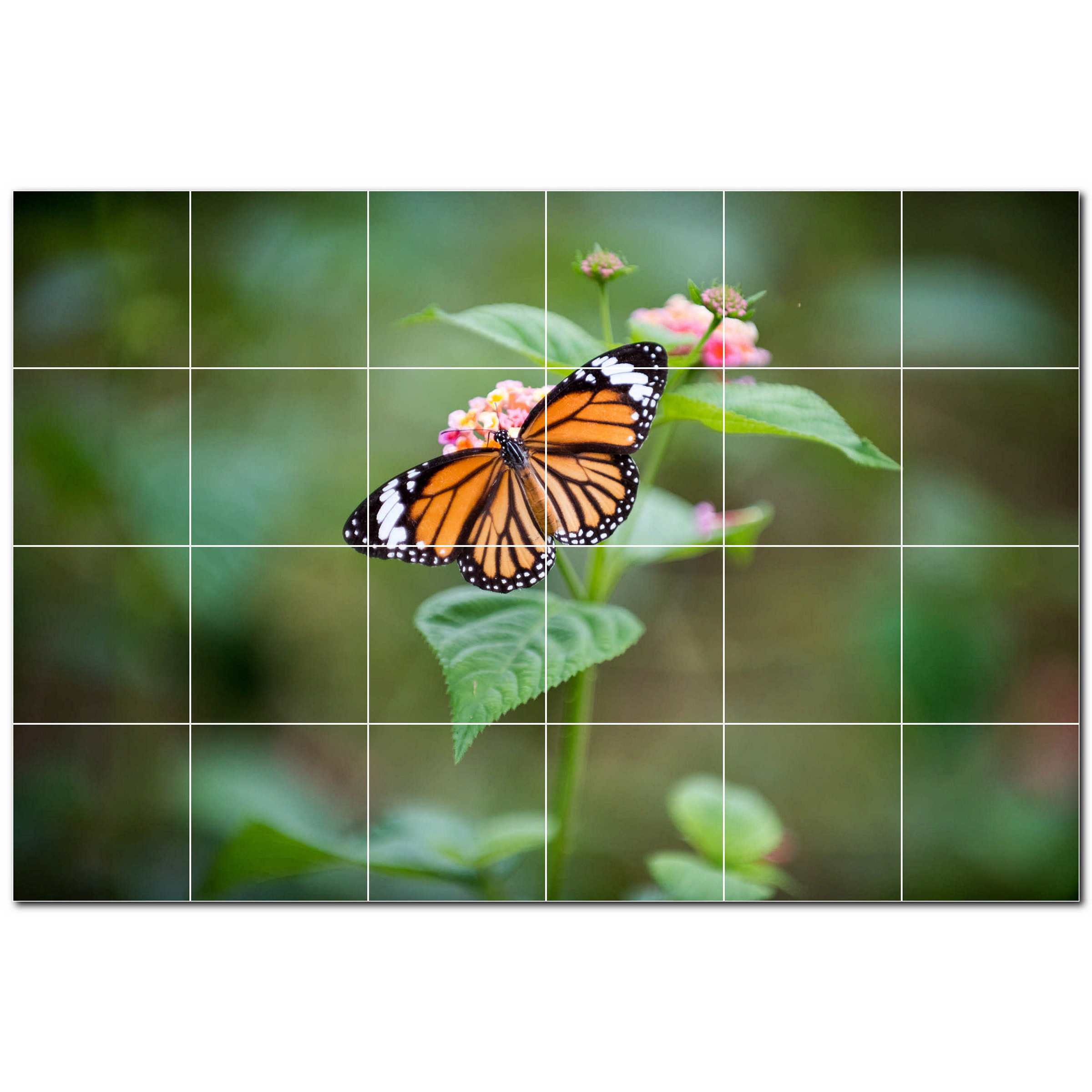 Picture-Tiles.com 6'' x 6'' Satin Ceramic Decorative Mural | Wayfair