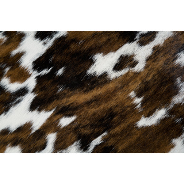 Union Rustic Hillary Animal Print 200 X 220cm Brown Area Rug | Wayfair ...