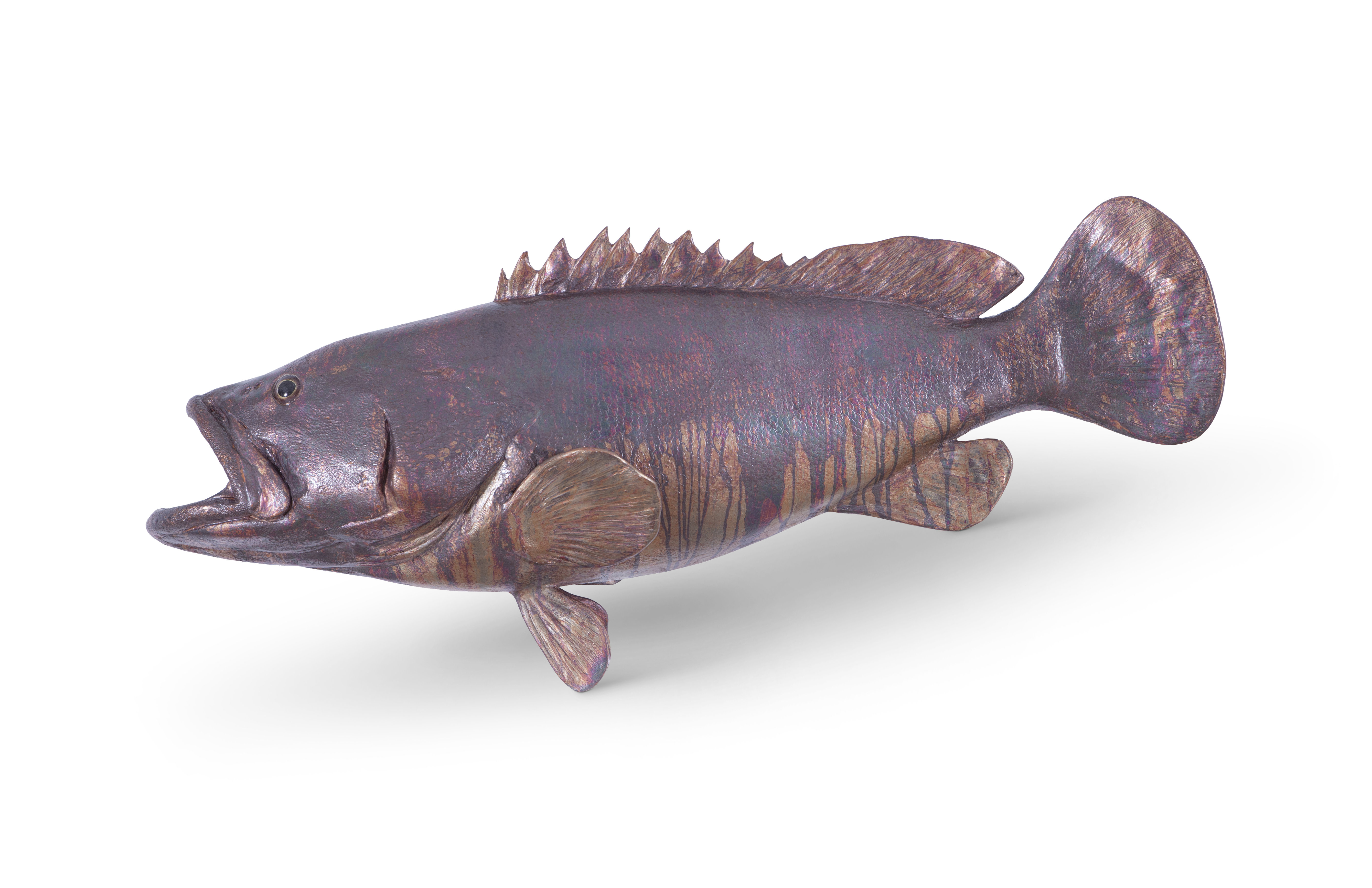 Phillips Collection Animals Estuary Cod Fish Wall Décor | Perigold