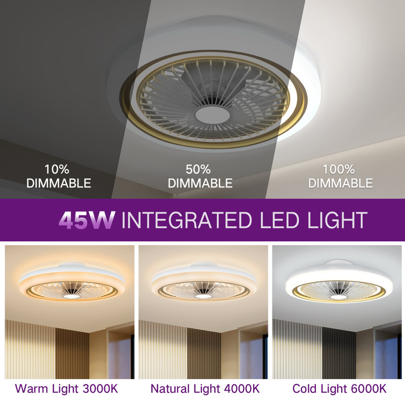 Ebern Designs 19'' Flush Mount Ceiling Fan with Remote Control and LED ...