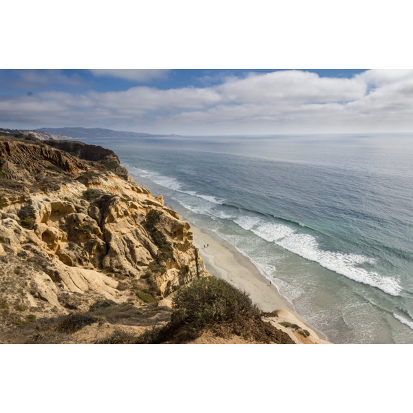 House of Hampton Torrey Pines State Reserve | Wayfair.co.uk