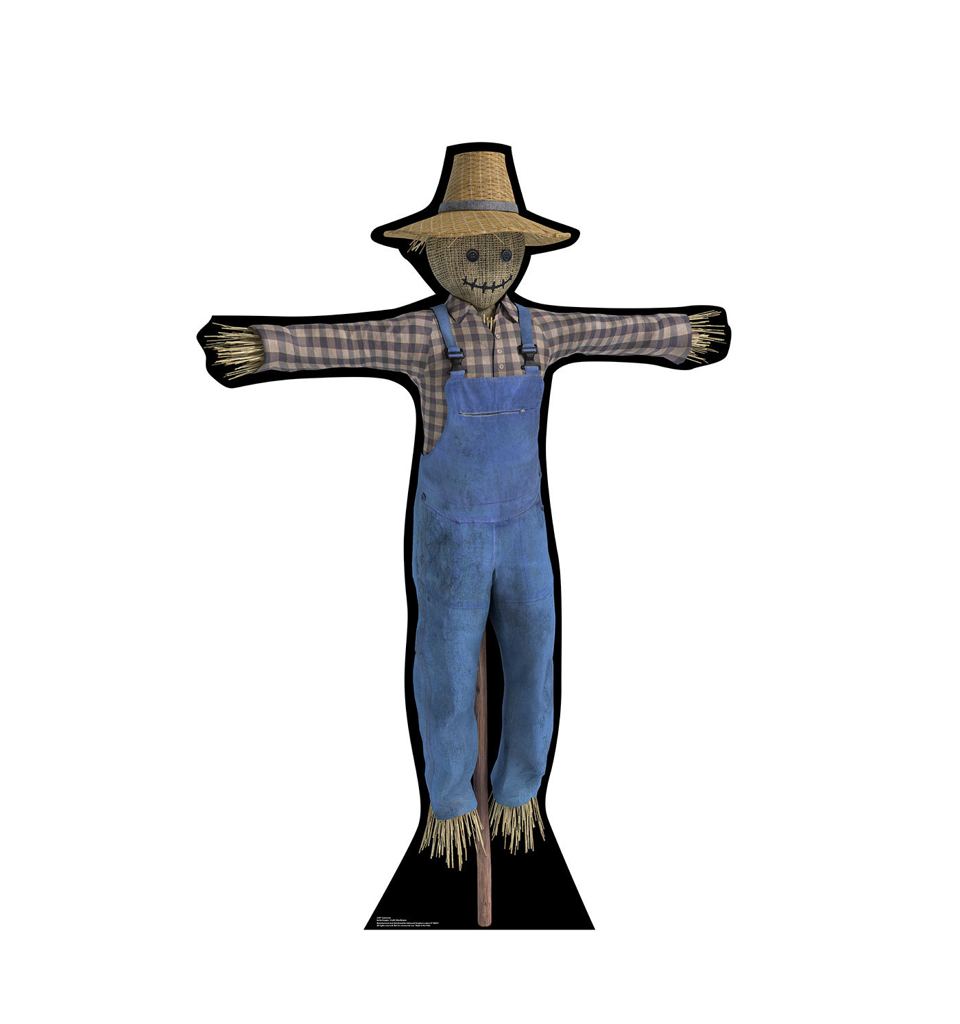 Advanced Graphics Scarecrow Standup | Wayfair