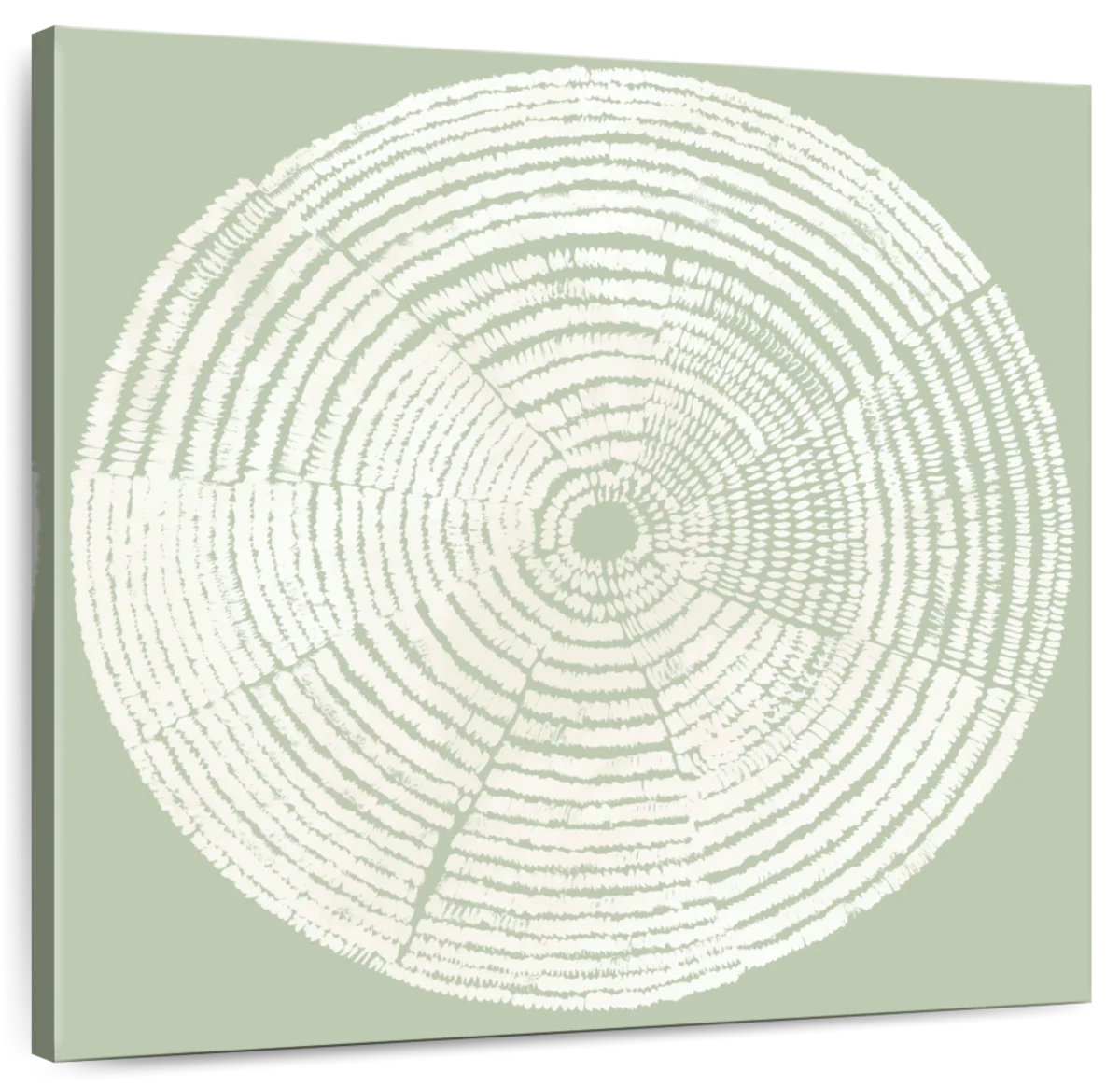 Wade Logan Circles Of Life I - Wayfair Canada