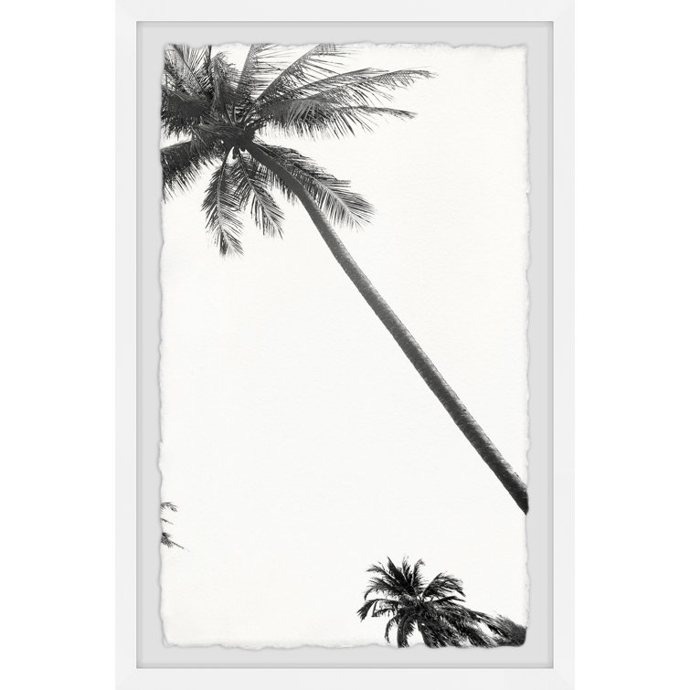 Bay Isle Home Coco Palm Trees - Single Picture Frame Photograph ...