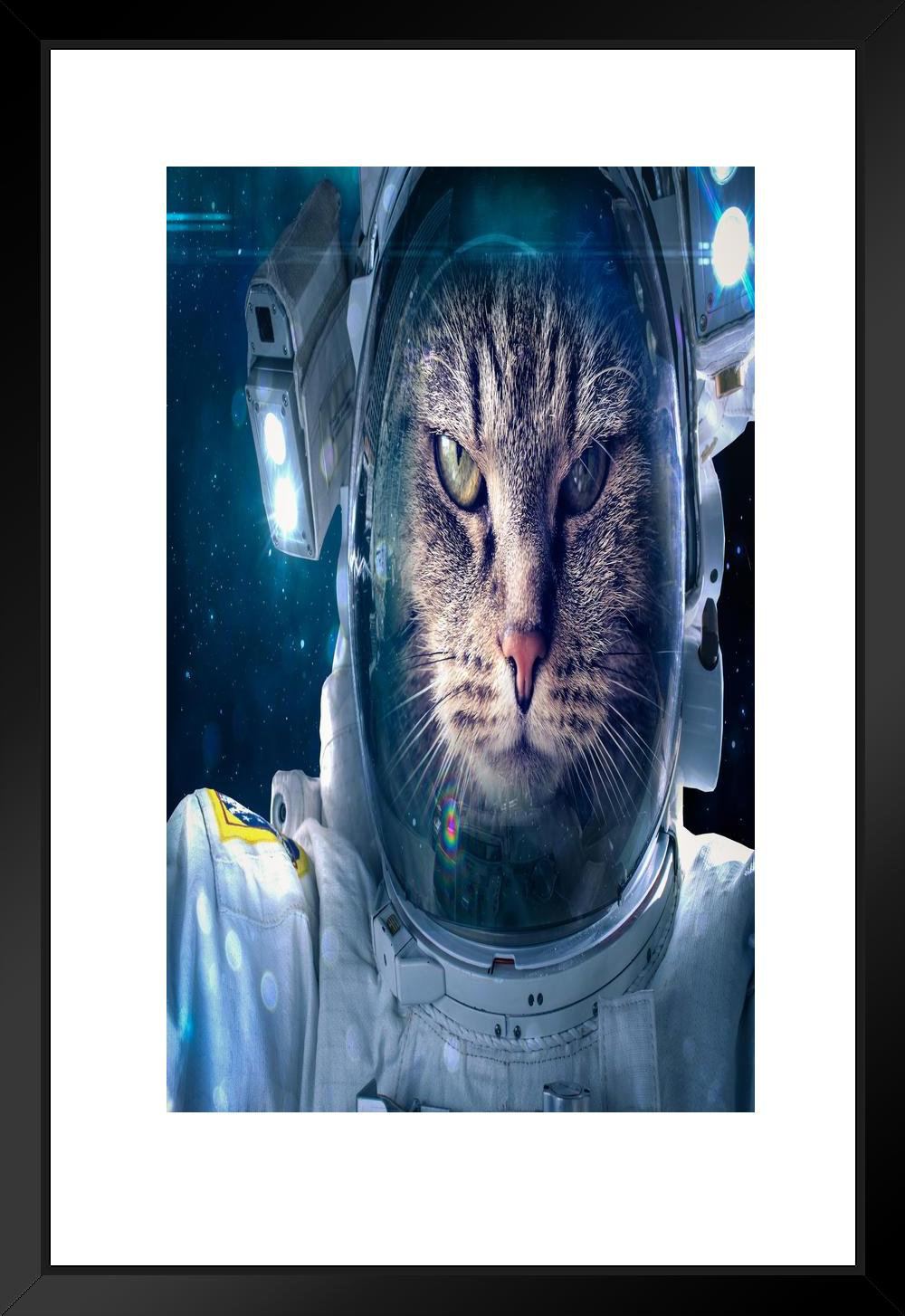 Trinx Cat In Space Funny Outer Space Cat Poster Funny Wall Posters ...