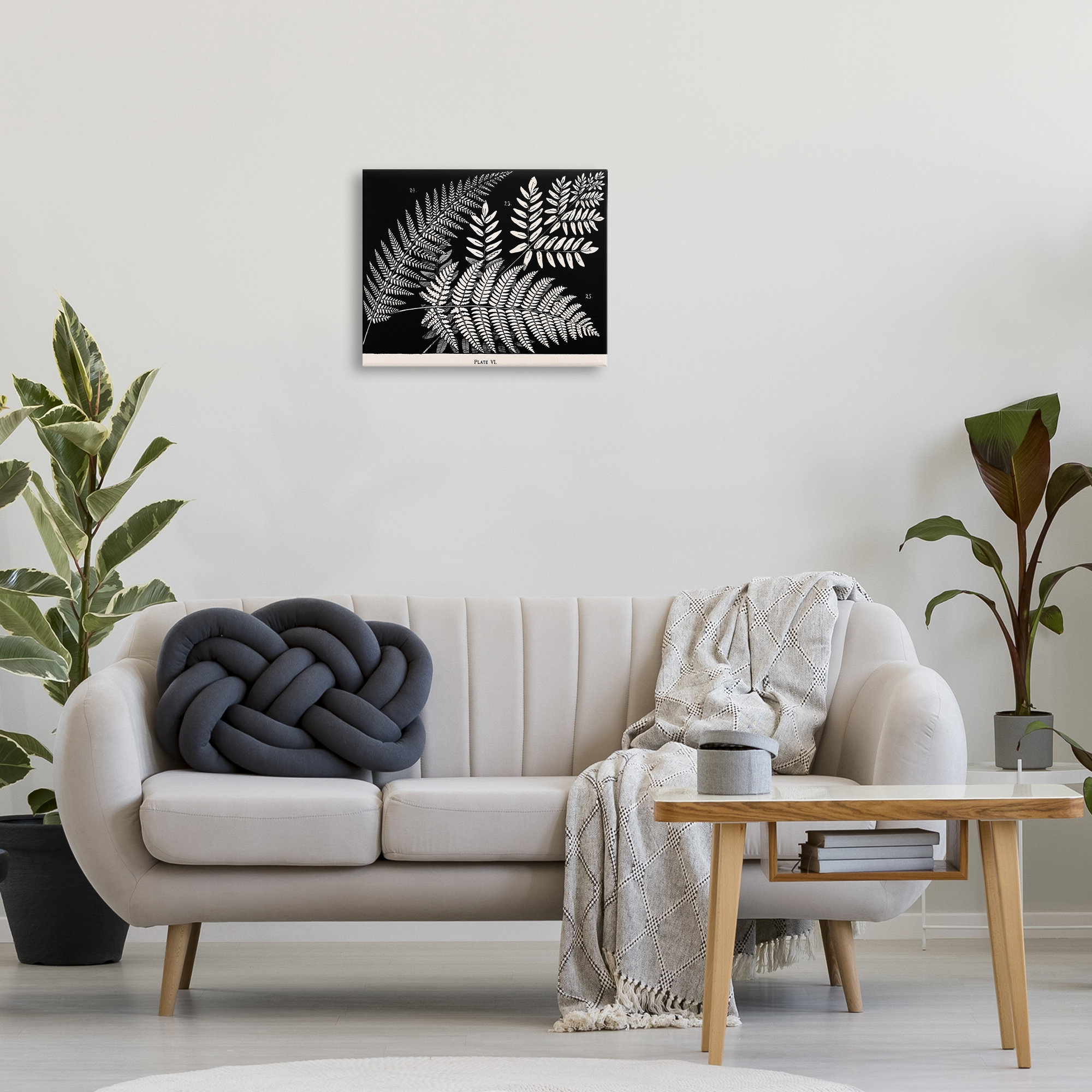 George Oliver Fern Varieties on Black Canvas, design by Phillipa Katz ...