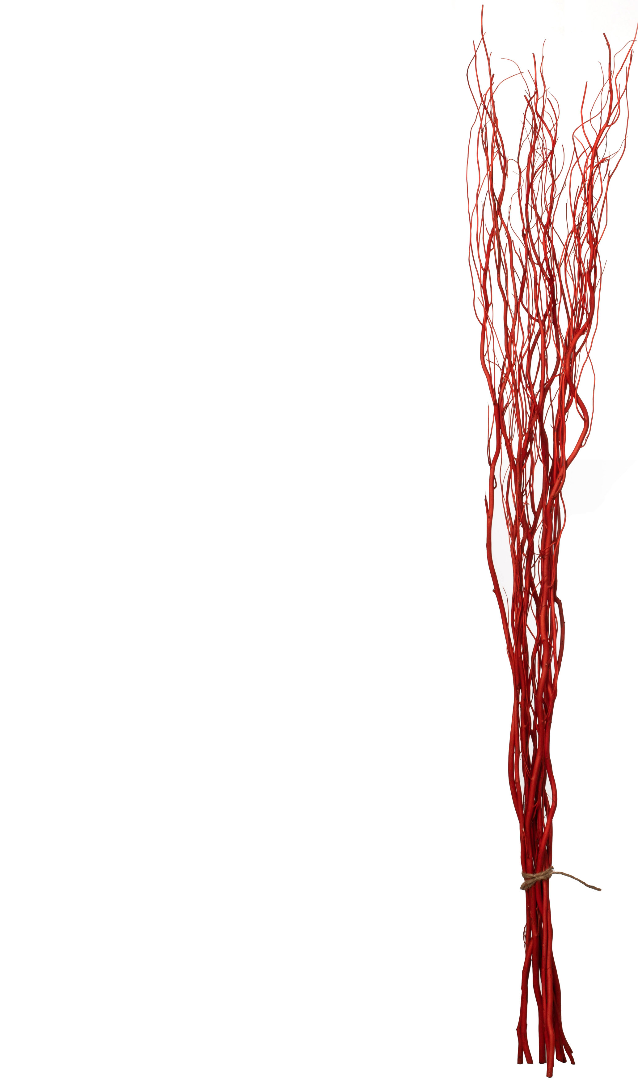 Primrue 12pc 59" Natural Dried Willow Twigs - Ideal Sticks For Diy ...