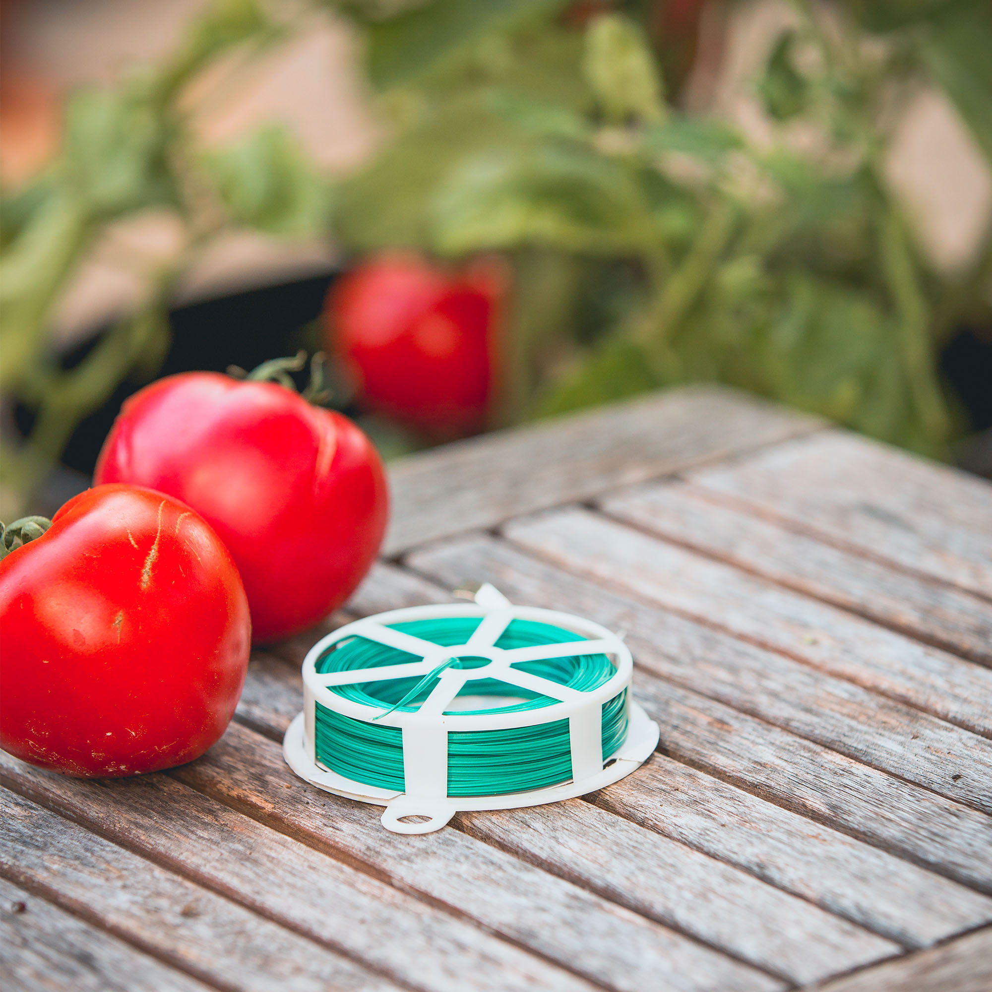 Arlmont & Co. Vihaan Sturdy Twist Plant Support with Cutter | Wayfair