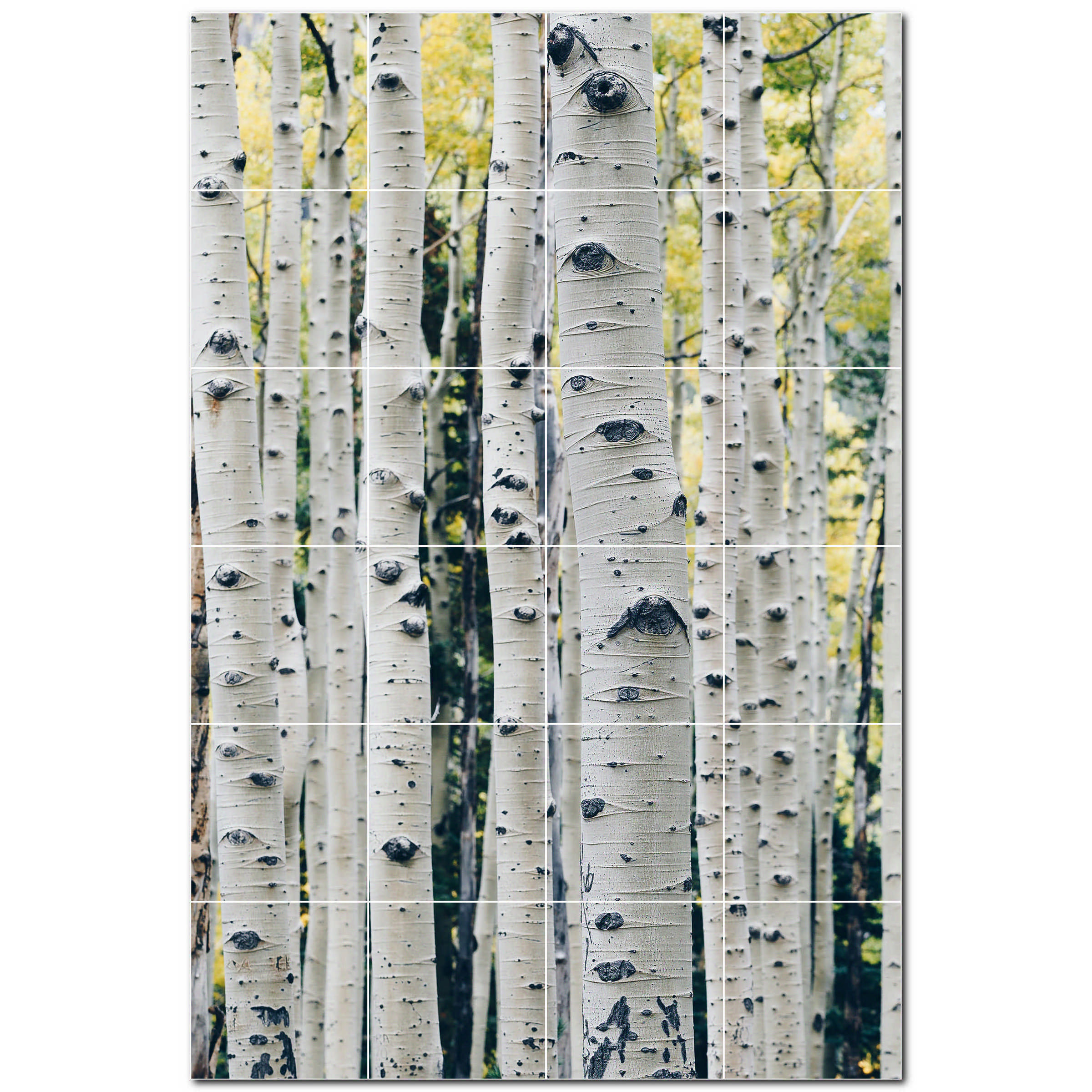 Picture-Tiles.com 32" x 48" Ceramic Trees Photo Decorative Mural Tile ...