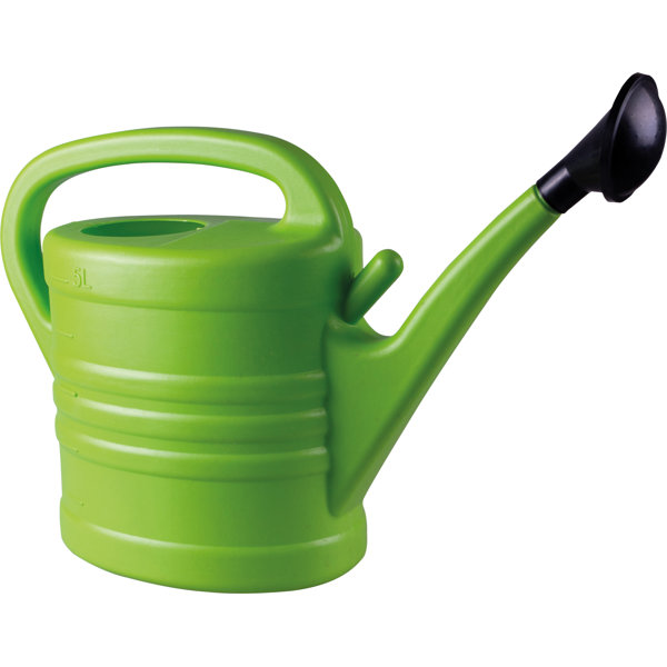 Brambly Cottage Watering Can | Wayfair.co.uk