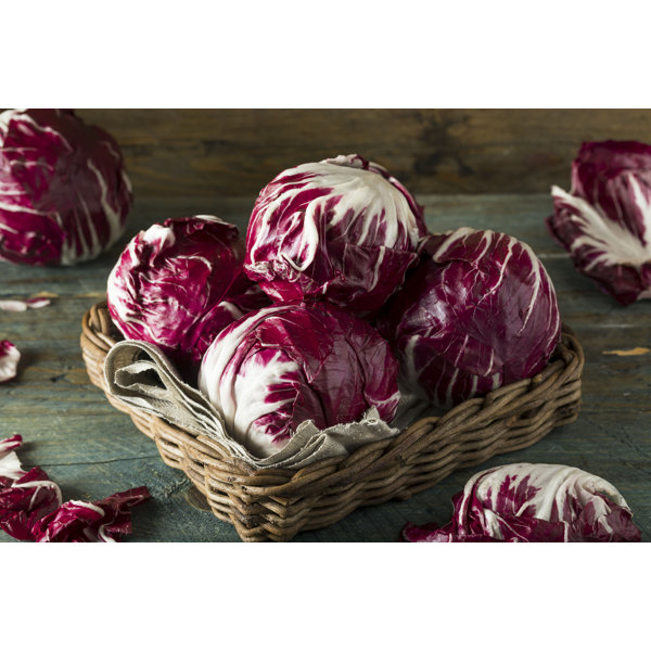 Ebern Designs Lachae Radicchio Lettuce - Print - Wayfair Canada