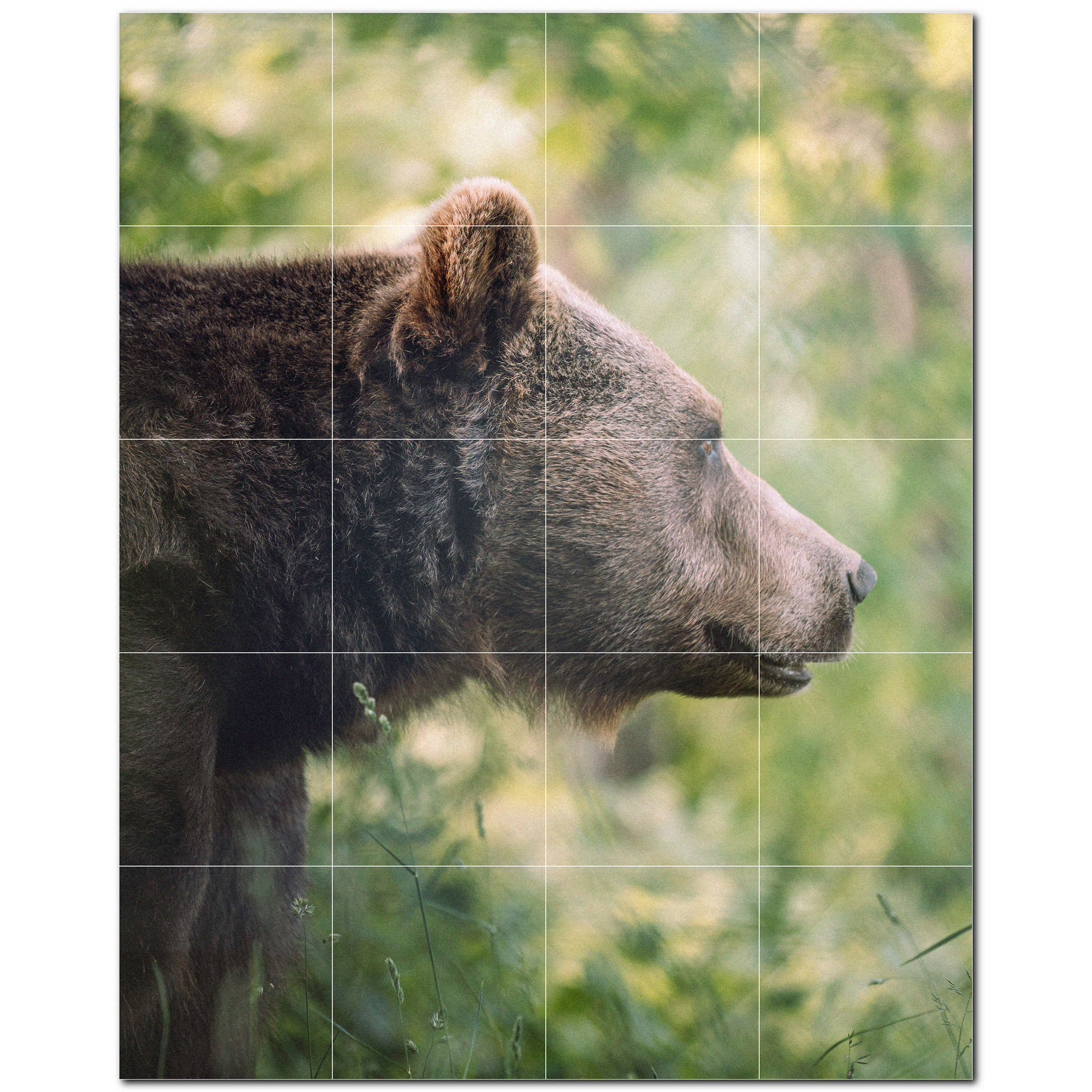 Picture-Tiles.com 32" x 40" Ceramic Bear Photo Decorative Mural Tile ...