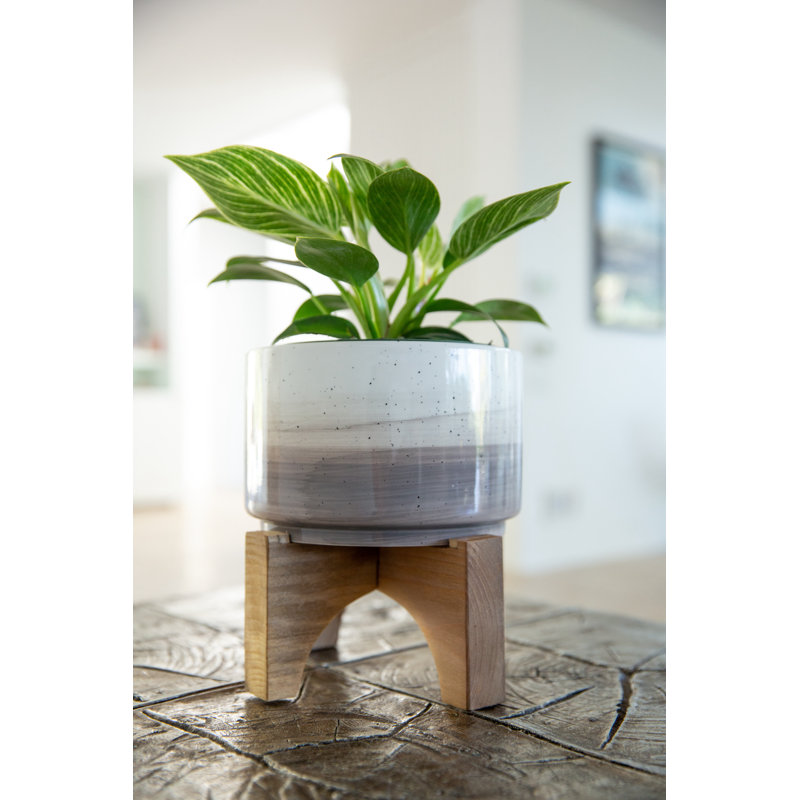George Oliver Charlack Ceramic Pot Planter | Wayfair