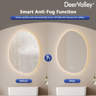 Deervalley 20X28 Inch Irregular LED Bathroom Mirror With Bluetooth ...