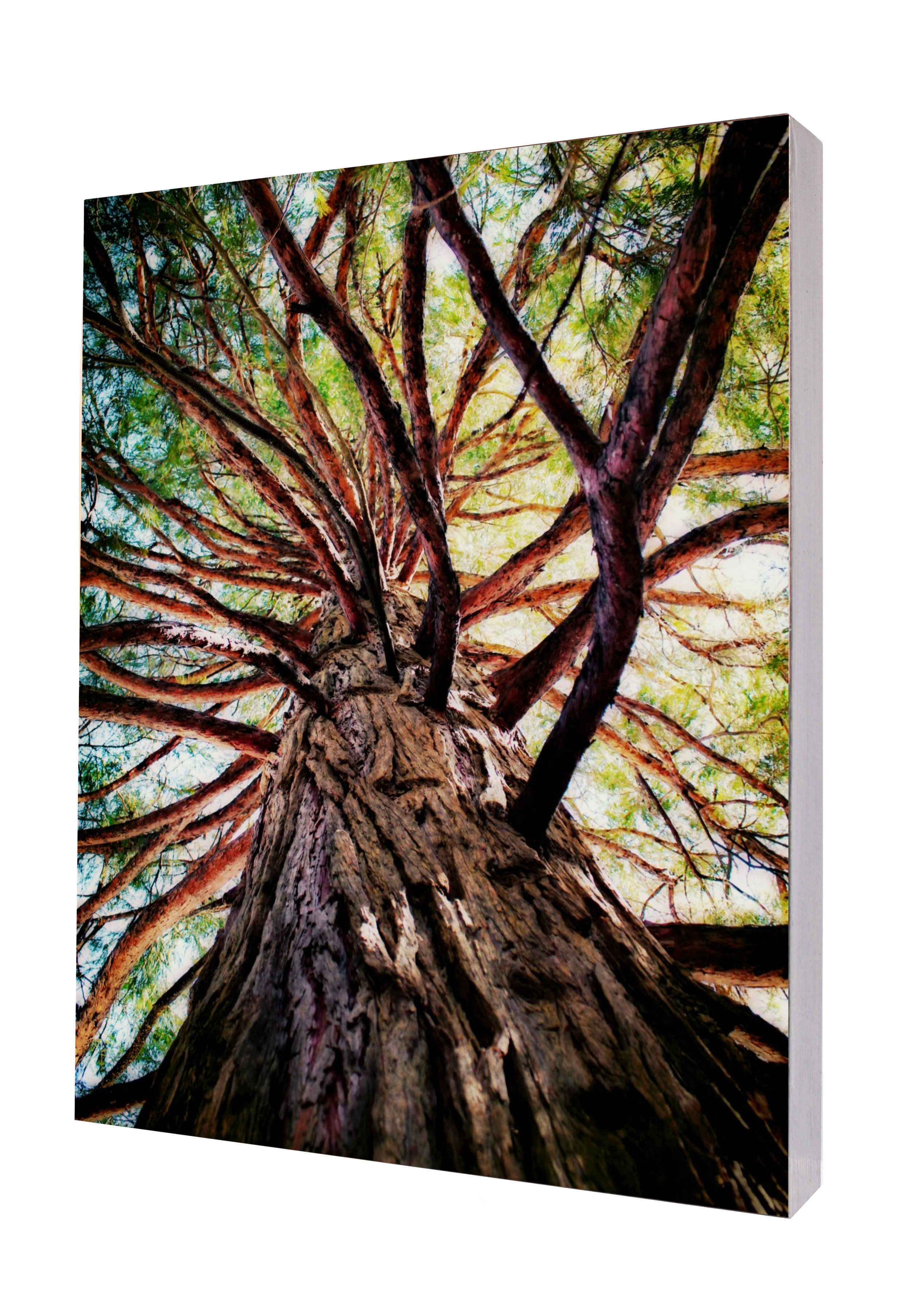 Urban Natural Designs Tree I Handcrafted Artwork - Urban Natural ...