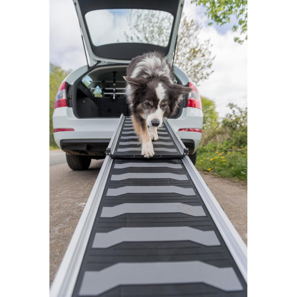Tucker Murphy Pet™ Heavy Duty 69" Telescoping Pet Ramp, Lightweight ...