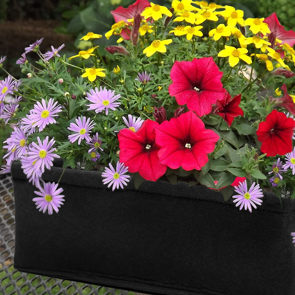 Touch of ECO Natural Fibers Planter Box - Song & Hummingbird Flower ...