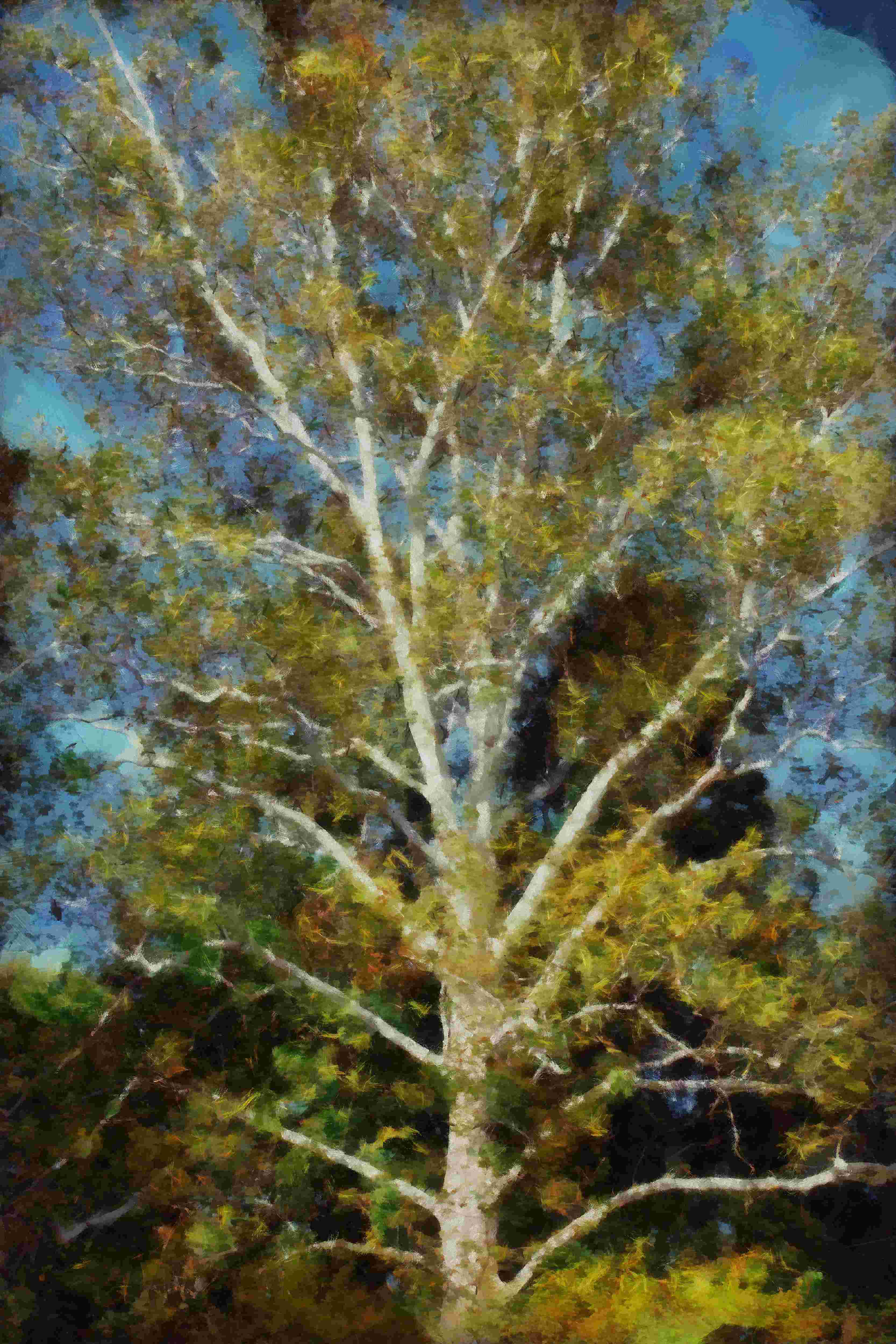 Millwood Pines Painted Green Tall Tree - Wrapped Canvas Painting | Wayfair