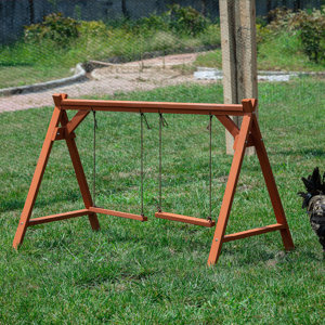 Tucker Murphy Pet™ Chicken Swing Set with Roosting Bars - Wayfair Canada