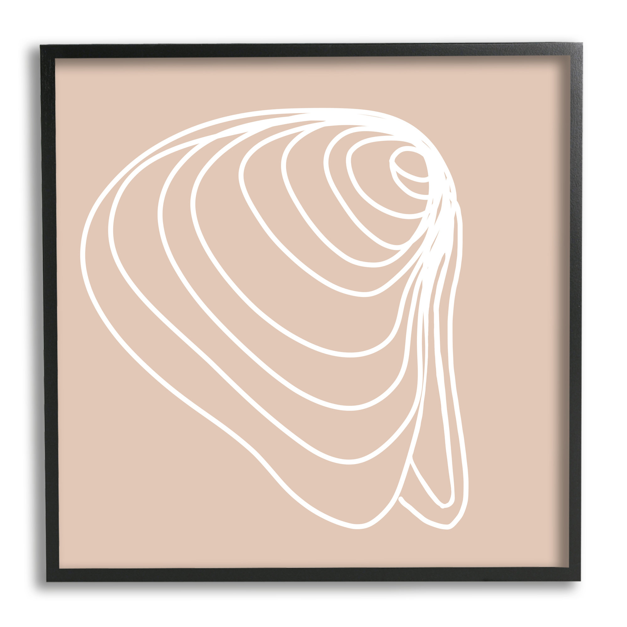 Stupell Industries Clam Shell Seashell Stripes Casual Line Doodle ...