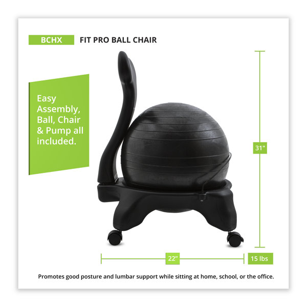 Inbox Zero Fitpro Ball Chair & Reviews | Wayfair