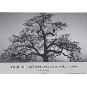 Vault W Artwork Ansel Adams Oak Tree On Paper by Ansel Adams Print ...