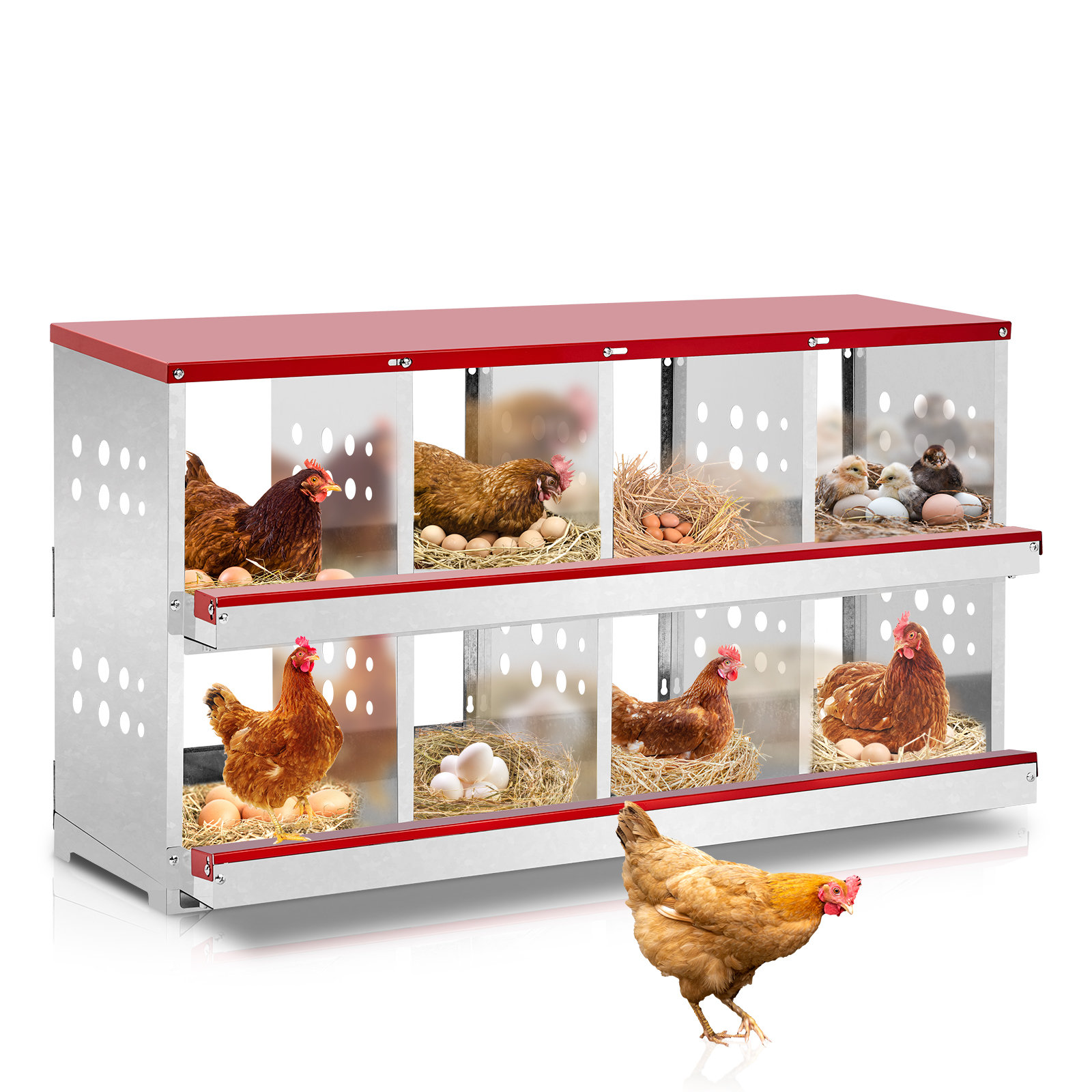 Archie & Oscar™ 8 Compartment Metal Poultry Nest Box Wall Mount For ...