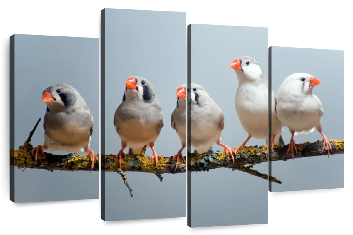 Ebern Designs Five Zebra Finches - Wayfair Canada