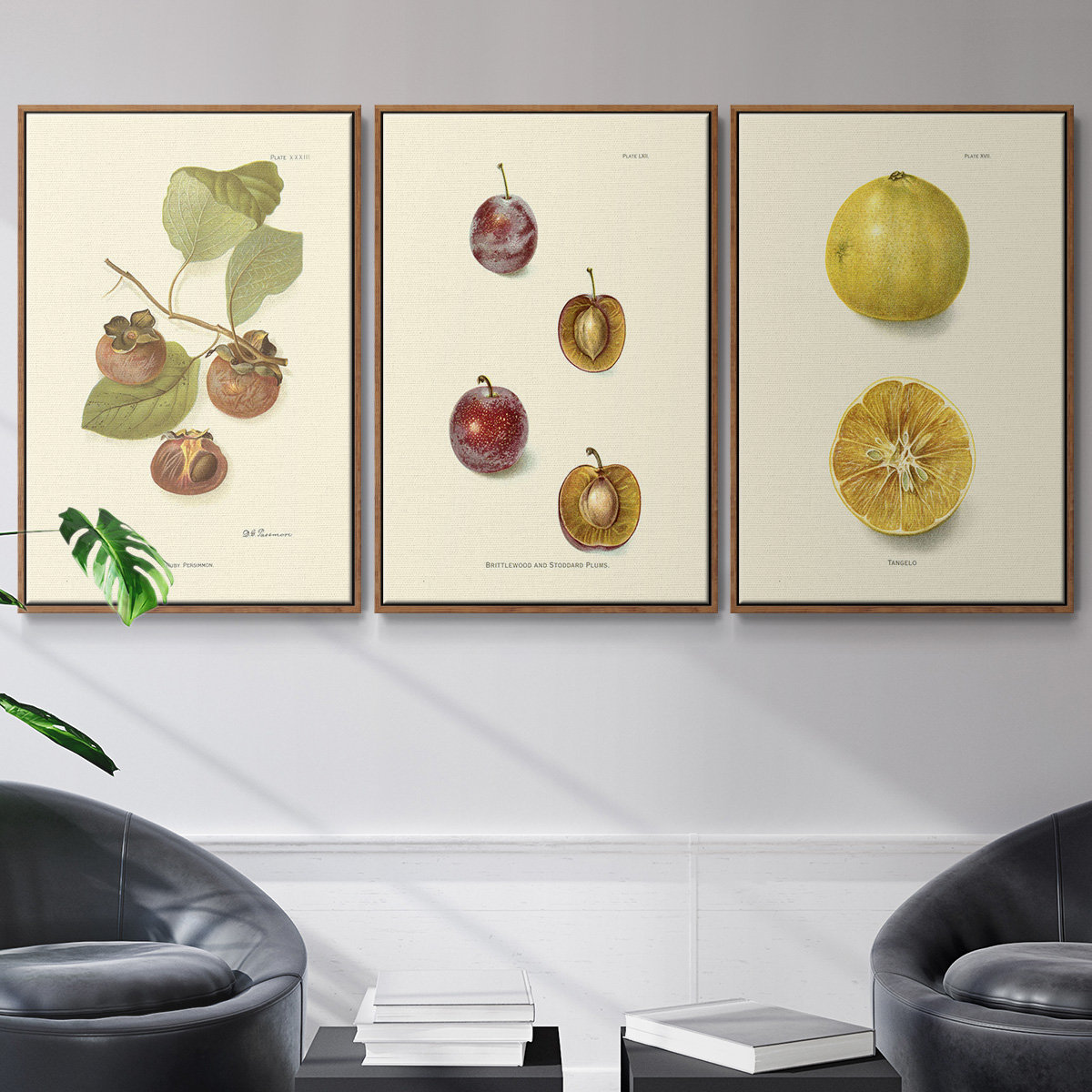Wexford Home Persimmon II - 3 Piece Print Set on Canvas | Wayfair