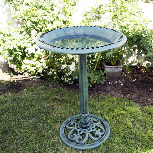 Ophelia & Co. Colley Plastic/Acrylic Pedestal Birdbath & Reviews | Wayfair