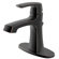 CMI Cardania Single-Hole Single-handle Bathroom Faucet with Drain ...