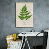 Epic Graffiti 'Davallia Pyxidata' by Art Licensing Studio Canvas Wall ...