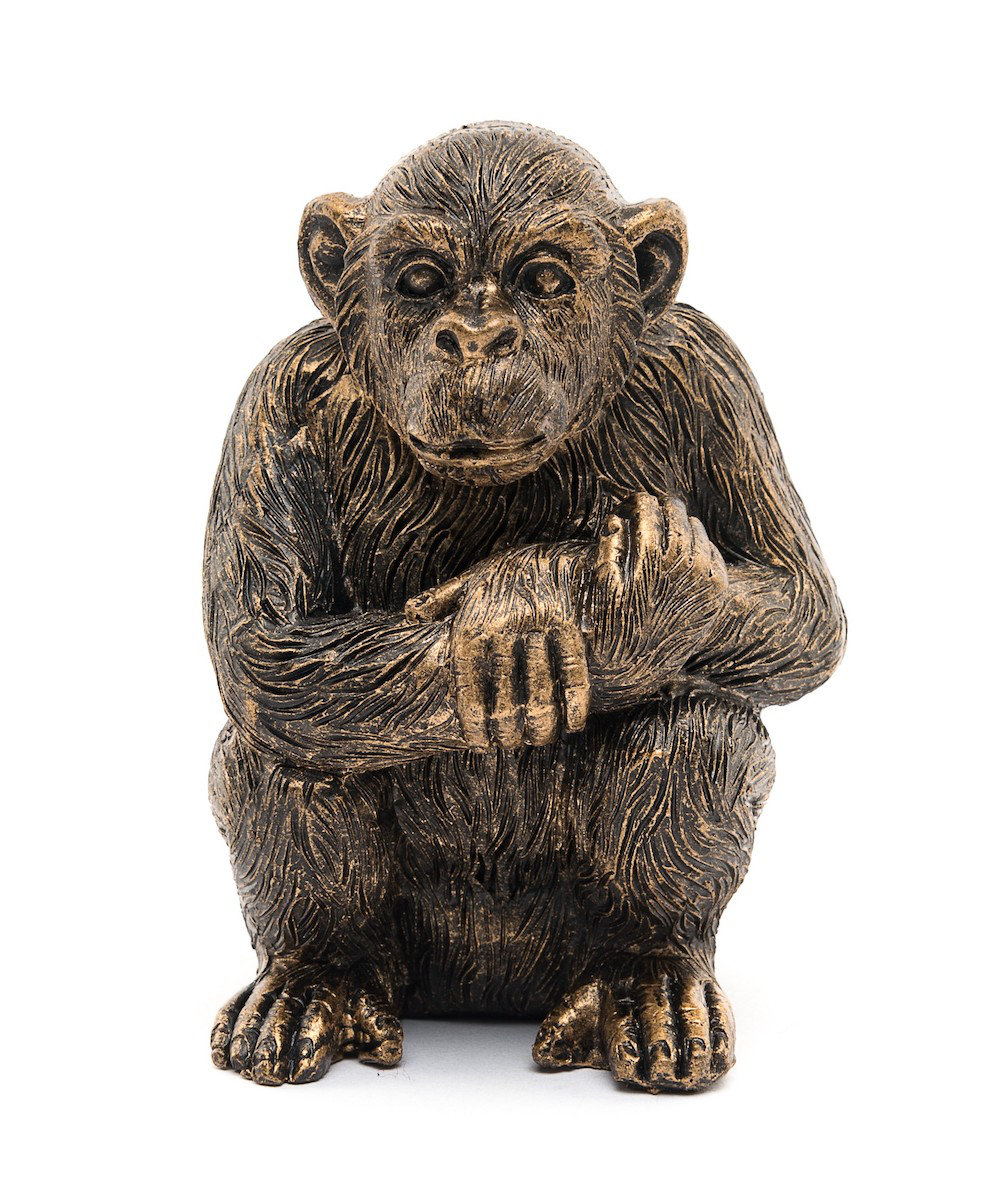 Jardinopia Chimpanzee Bronze Coloured Planter Feet In Gift Box | Wayfair