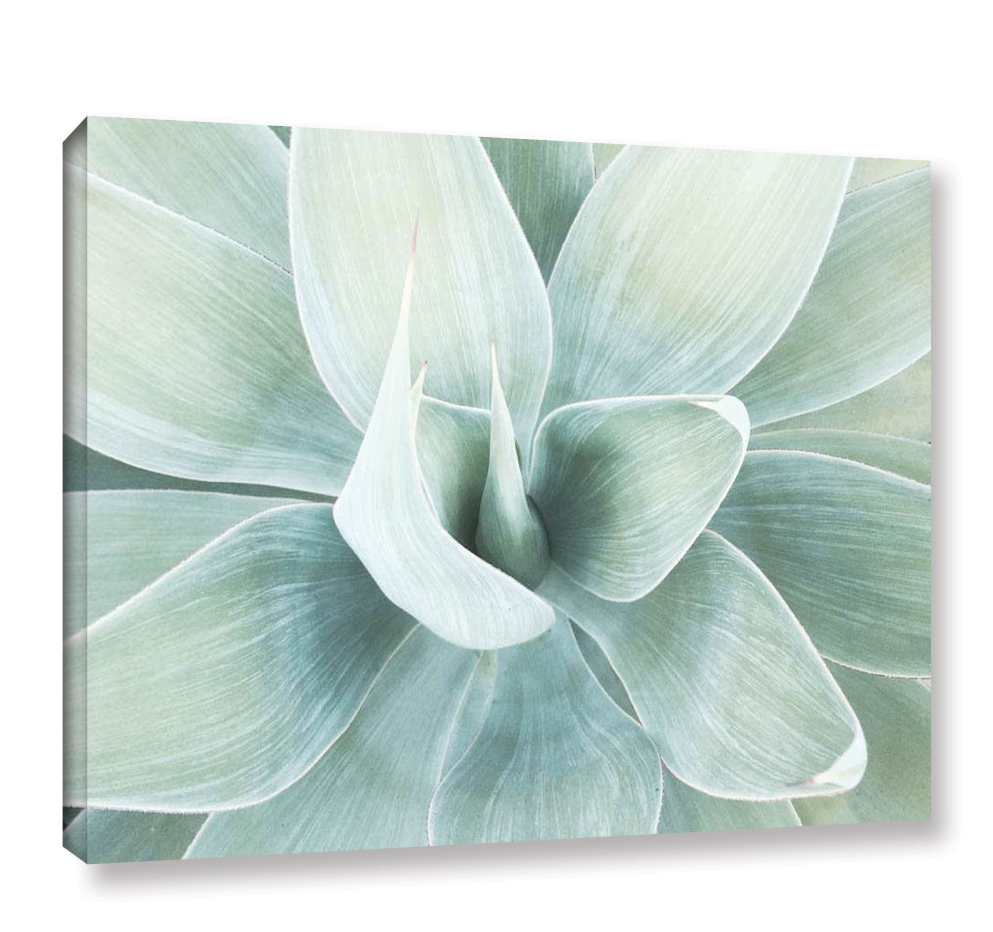 Bungalow Rose Jeanetta 'Light Blue Agave' Graphic Art Print on Canvas ...
