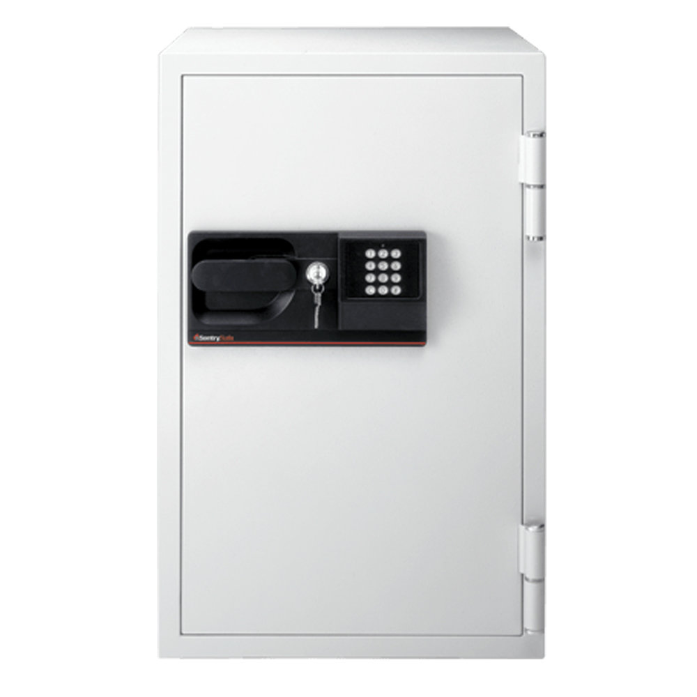 Sentry Safe 1-Hour Fireproof Security Safe Dual-Lock & Reviews | Wayfair