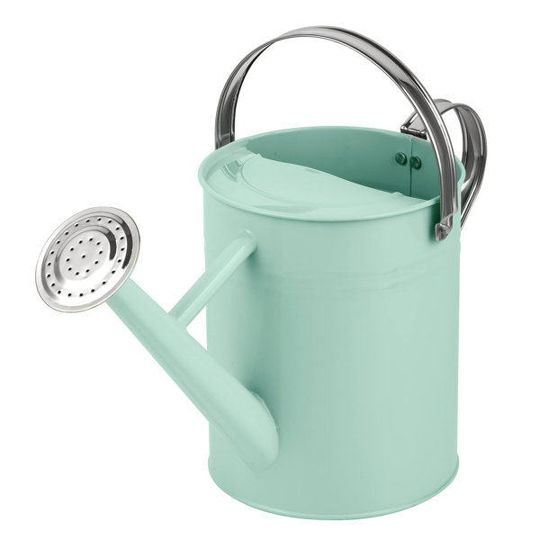 Homarden Metal Watering Can - Wayfair Canada