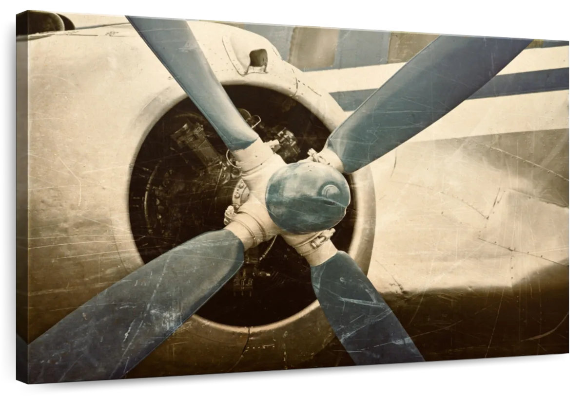 Elephant Stock Vintage Propeller Aircraft | Wayfair