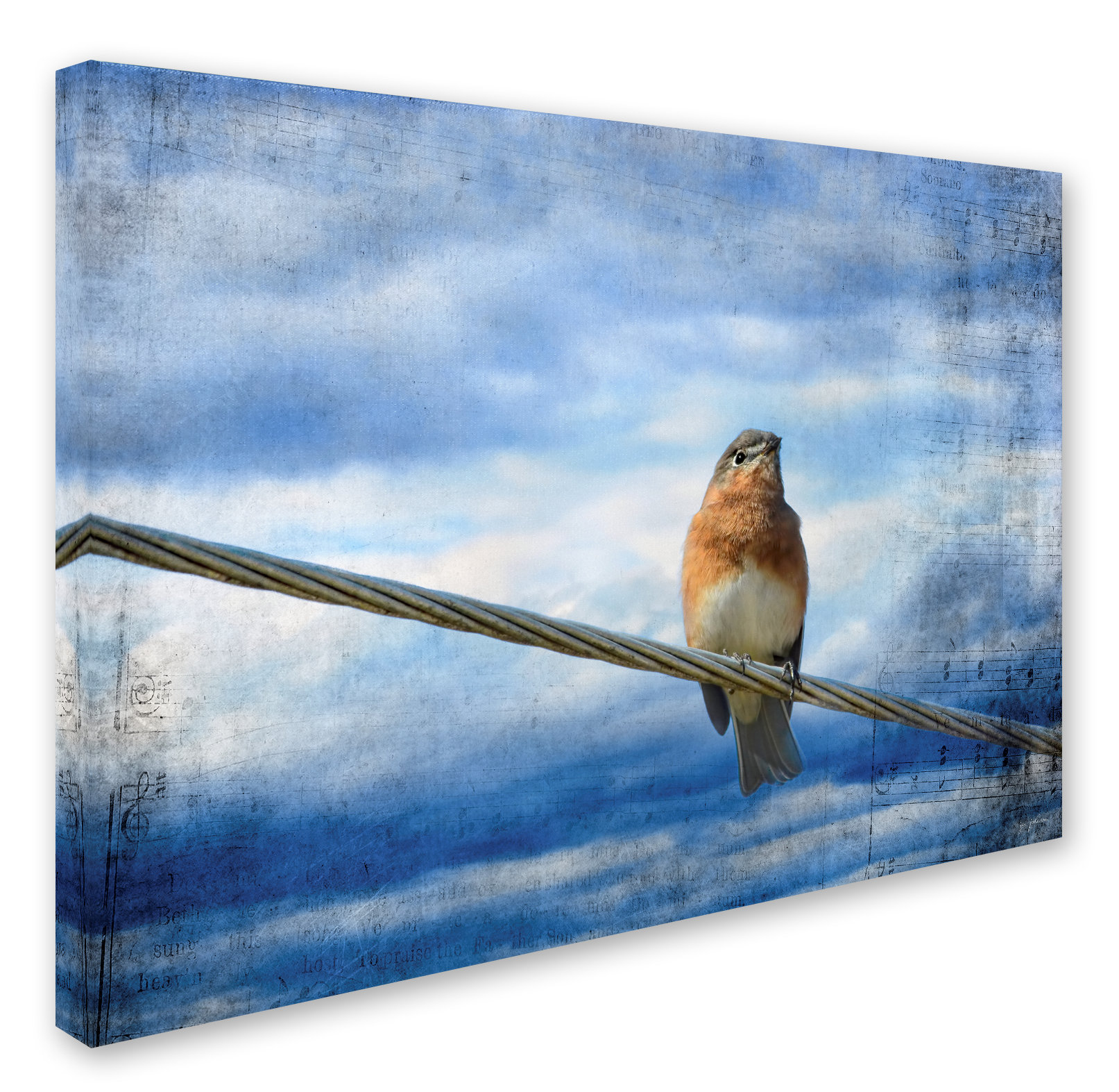 Trademark Fine Art 'Heavenly Song of the Bluebird' Graphic Art Print on ...