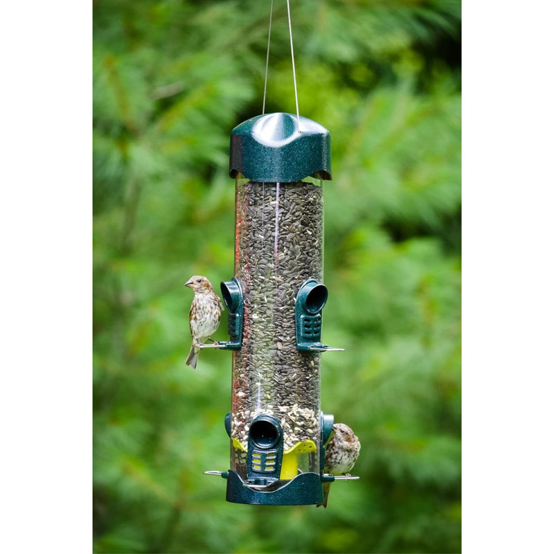 Latitude Run® Mega 600 Tube Wild Bird Seed Feeder, Green | Wayfair