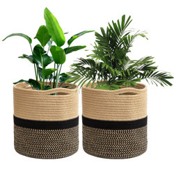 Planters You'll Love | Wayfair