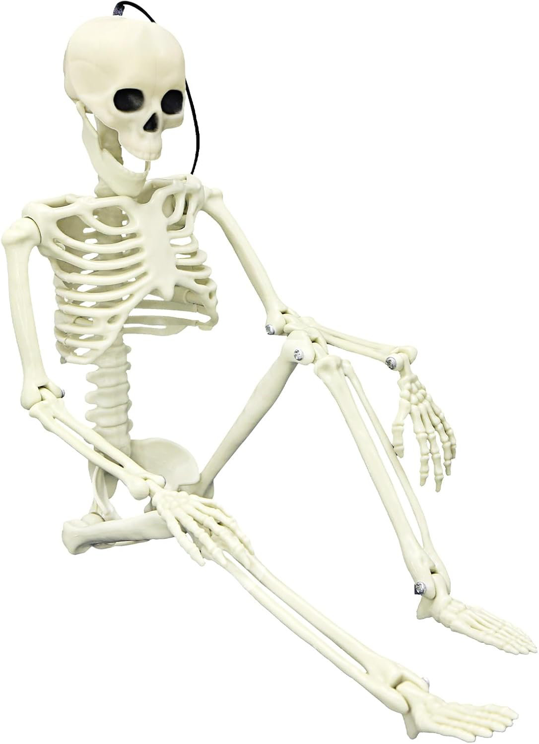 The Holiday Aisle® Halloween Skeleton Decorations Full Body Halloween ...