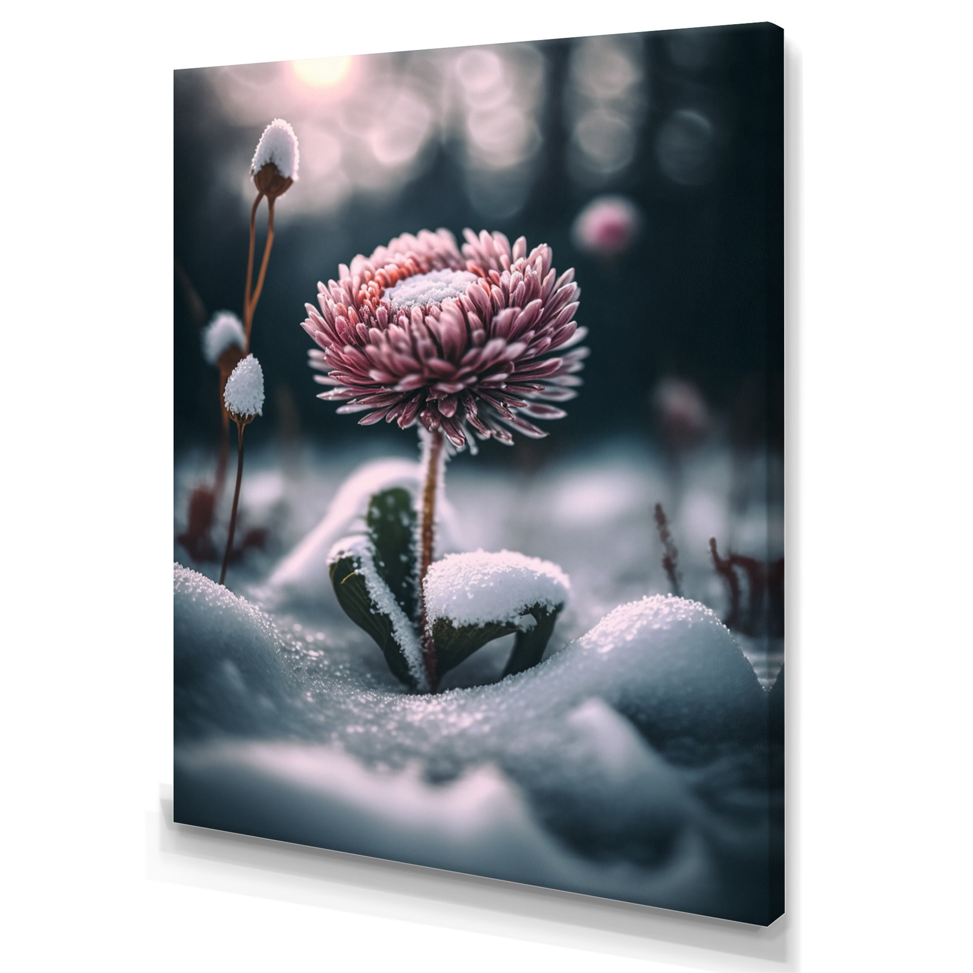 Latitude Run® A Blooming Pink Daisy Flower in Winter III - Graphic Art ...